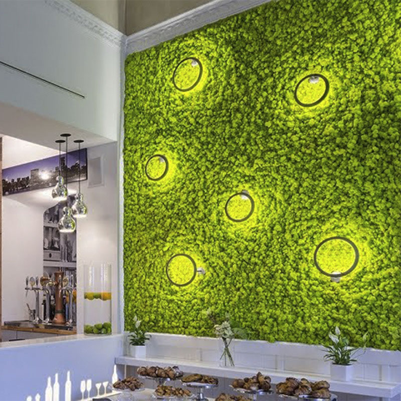 Pereti din licheni stabilizati 100% naturali - Eco Design